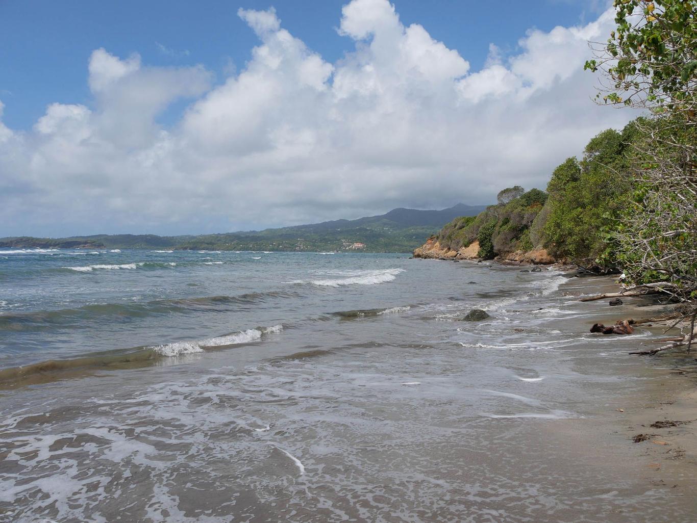 Defending the reef | Sustainable Legacies | AECOM