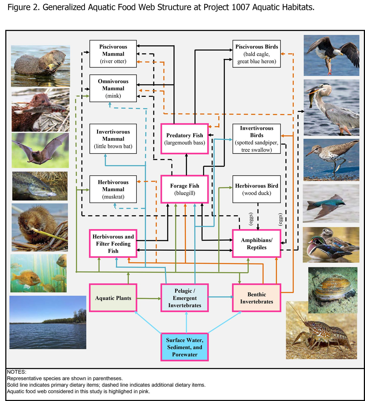 AECOM - PFAS | Site-Specific Bioaccumulation Conditions