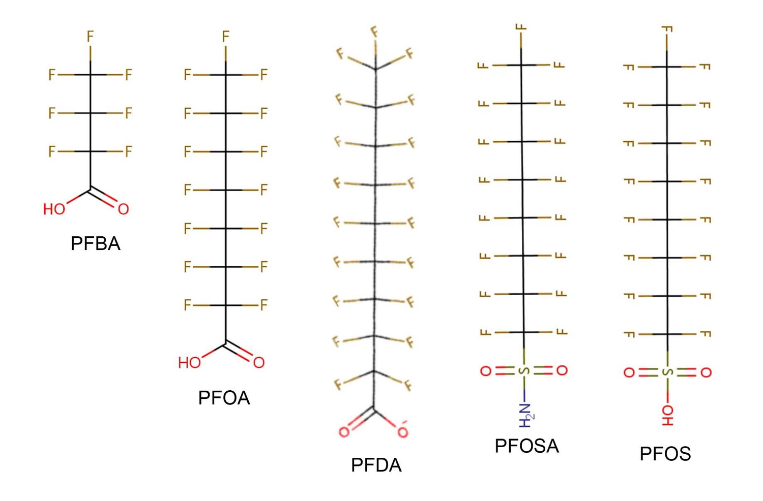 AECOM - PFAS | Site-Specific Bioaccumulation Conditions