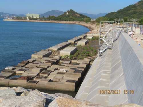 Building a better world by connecting communities. - Tung Chung New ...