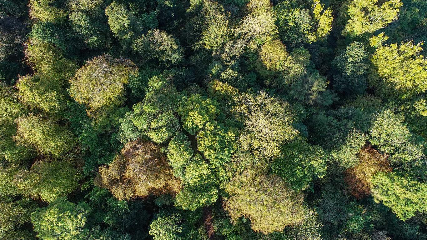 ESG advisory | Sustainable Legacies | AECOM