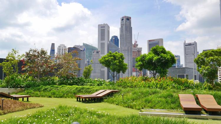 Projects + insights | Sustainable Legacies | AECOM