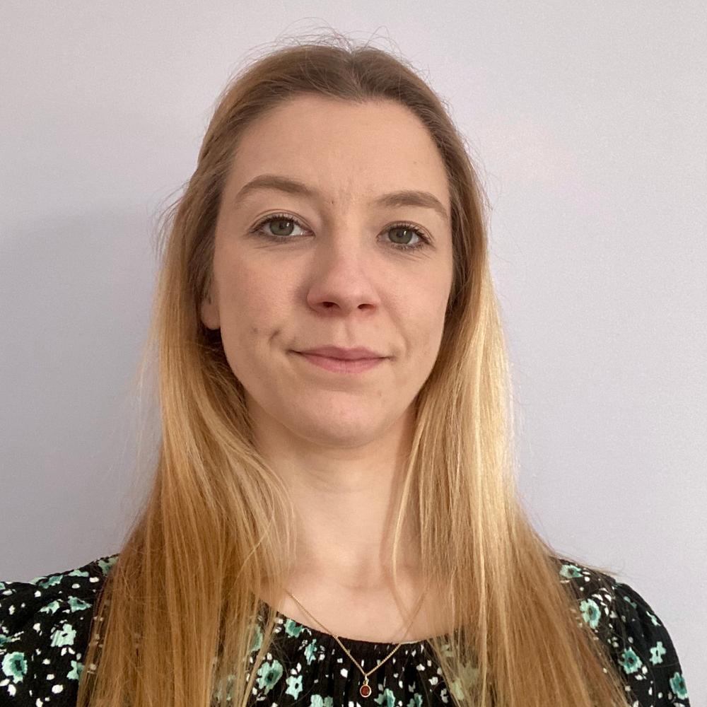 The role of carbon markets in a credible approach towards net zero ...