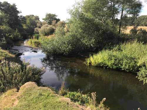 Reimagining what’s possible - River Breamish Restoration