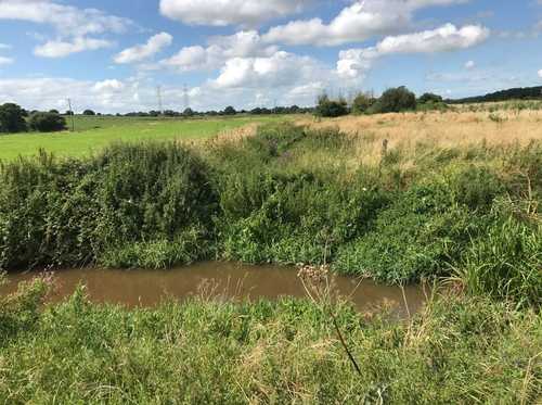 Reimagining what’s possible - Restoring biodiversity and natural flood ...