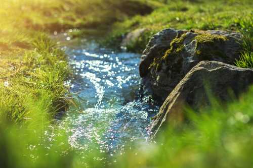 Reimagining what’s possible - Helping nature thrive